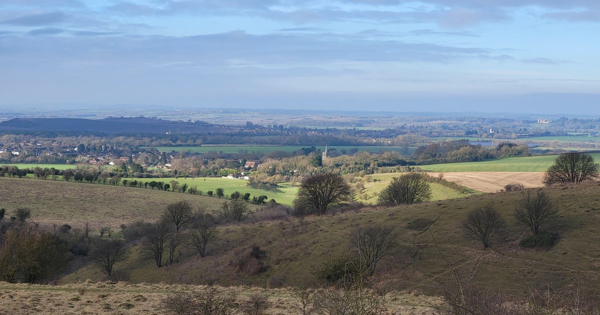 Ashridge and Ivinghoe Beacon - Ramblers